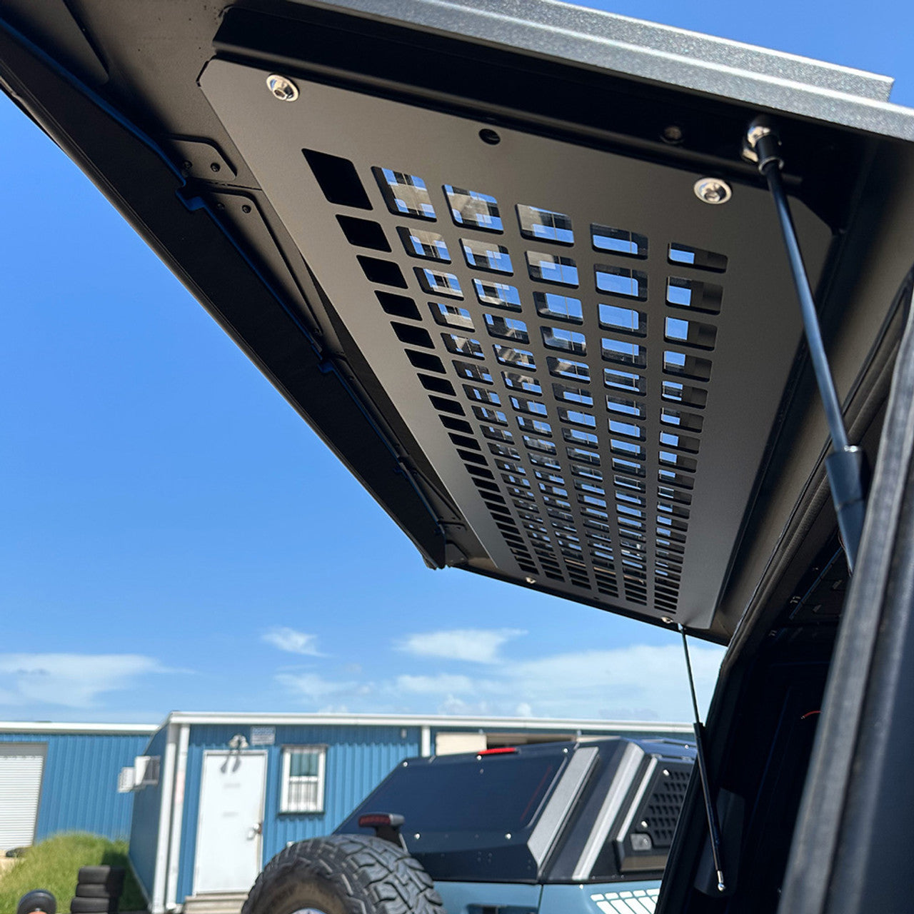 Interior Rear Window Security MOLLE – Armadillo Designs